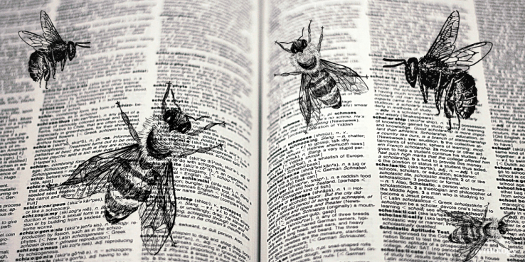 The Origin of Be- as a Prefix: Beknowing a Befuddling Feature of ...