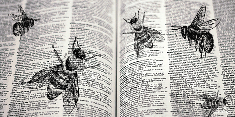 The Origin of Be- as a Prefix: Beknowing a Befuddling Feature of ...