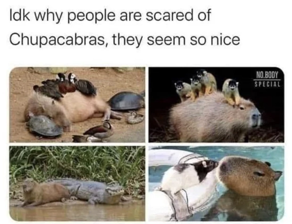 Not Quite What You Meant: The Difference Between Eggcorns and ...